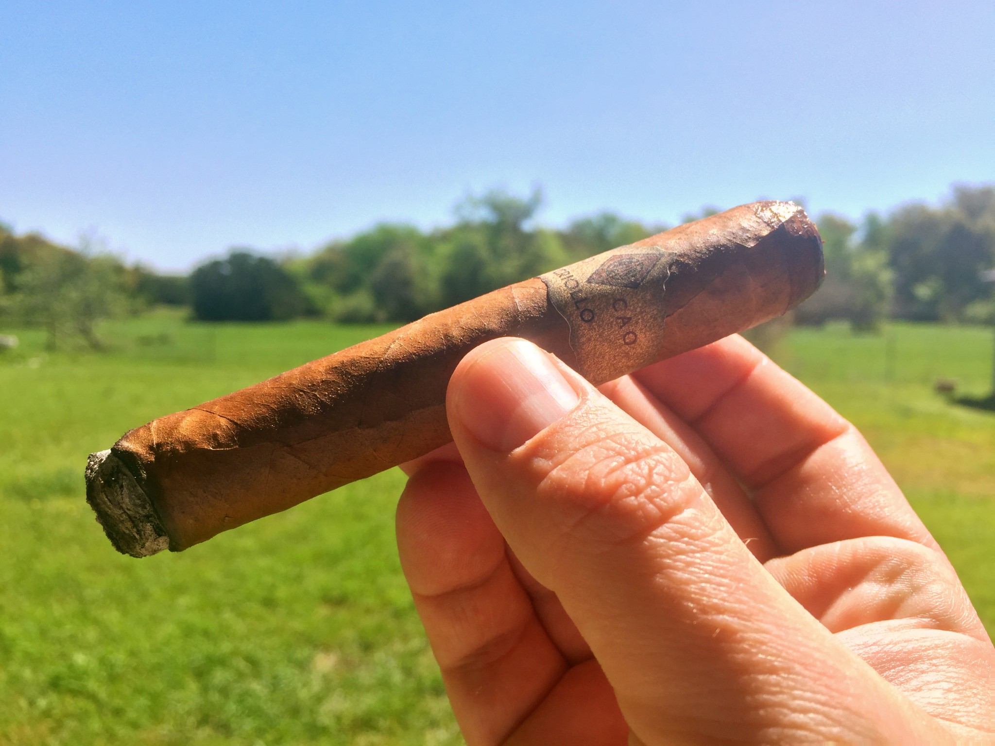 Review - CAO Criollo Pato - Tuesday Night Cigar Club